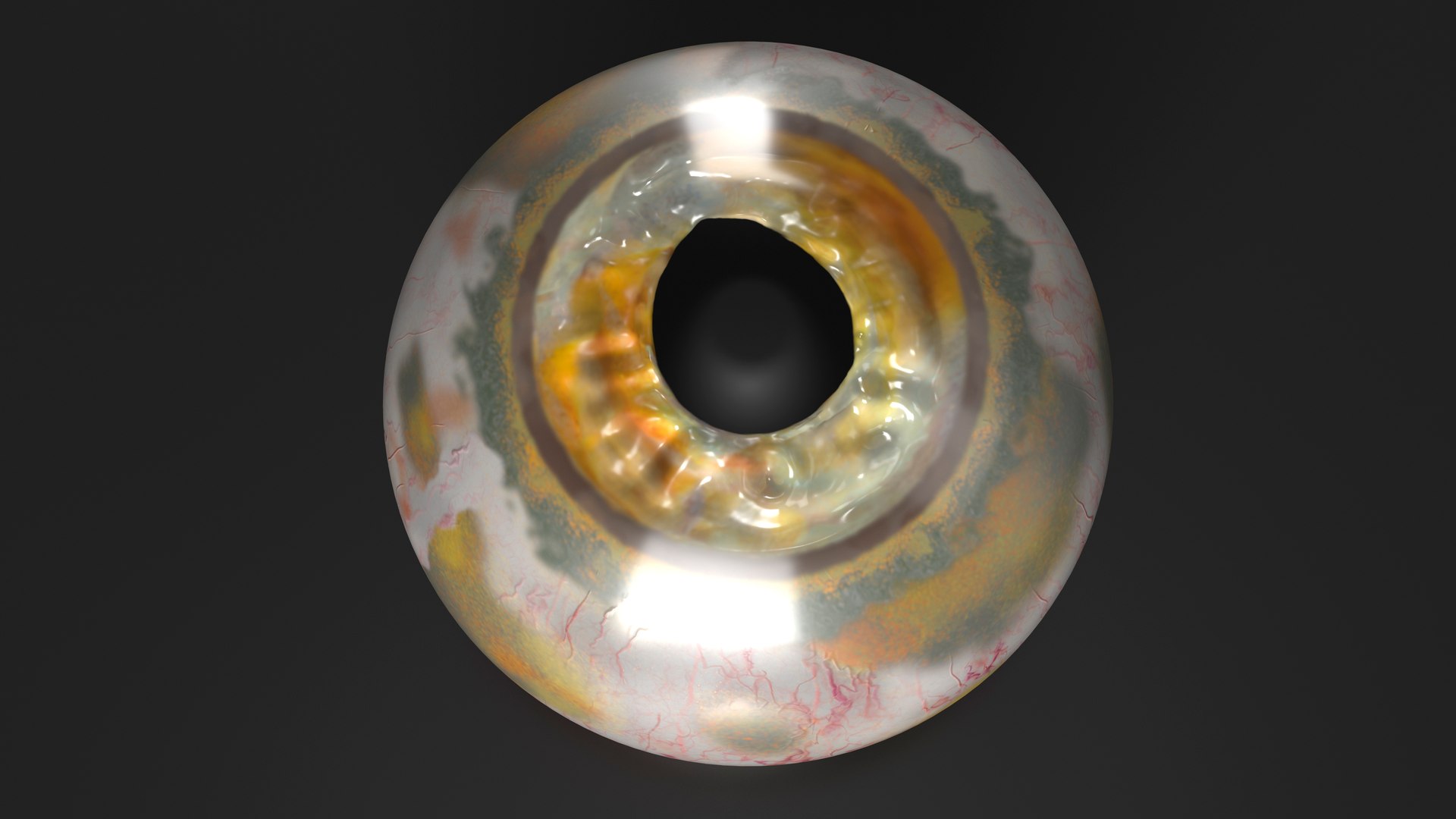 Realistic Fish Eye 3D Model - TurboSquid 2193440