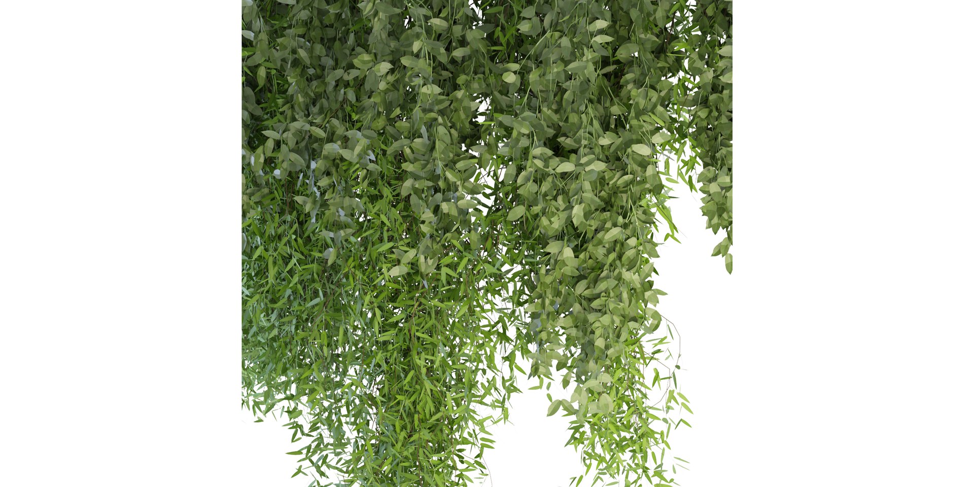 3D Collection Plant Vol 165 - Blemder Model - TurboSquid 2086037