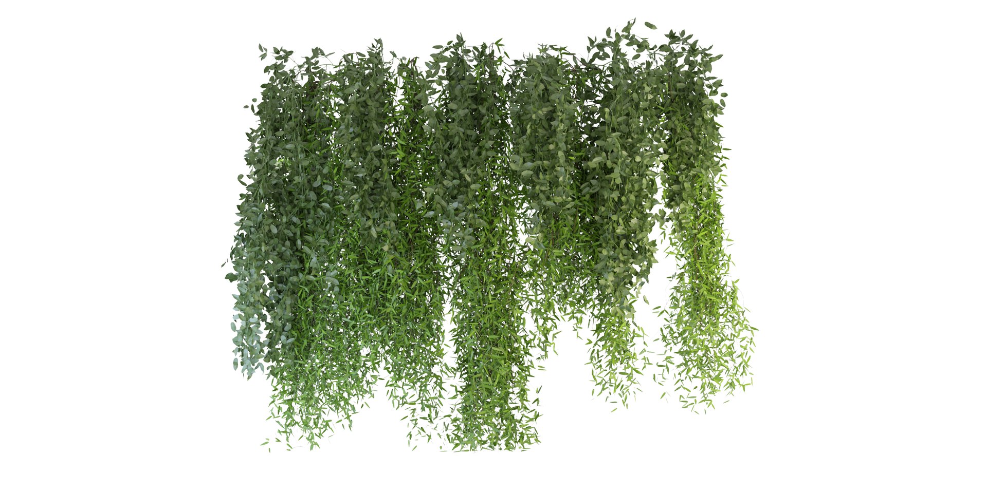3D Collection Plant Vol 165 - Blemder Model - TurboSquid 2086037