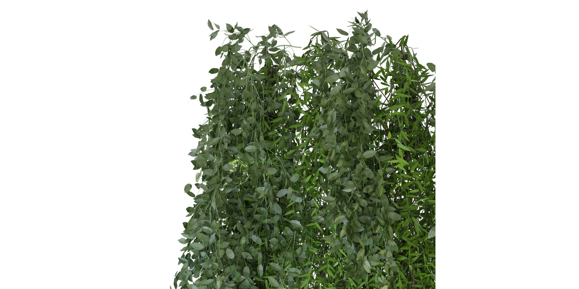 3D Collection Plant Vol 165 - Blemder Model - TurboSquid 2086037