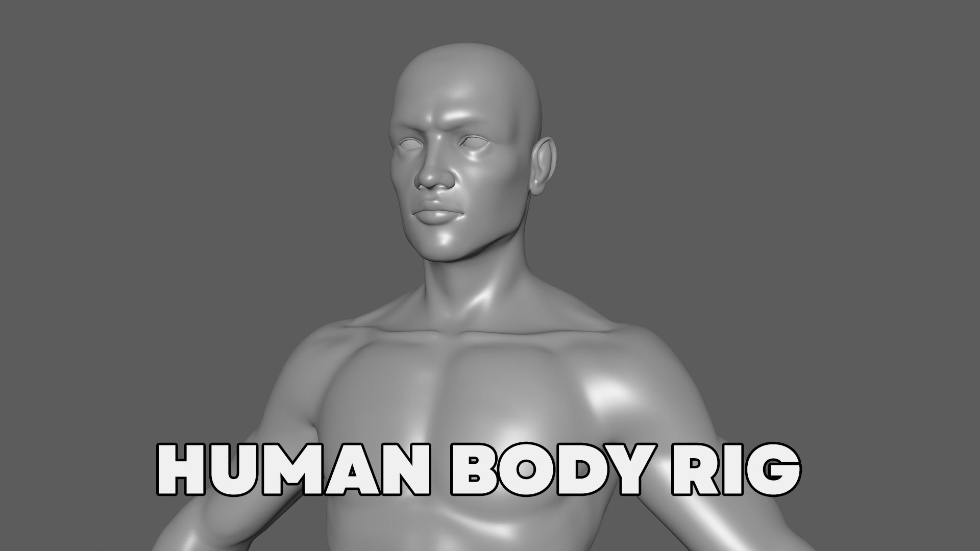 HUMAN 3D Model - TurboSquid 2064909