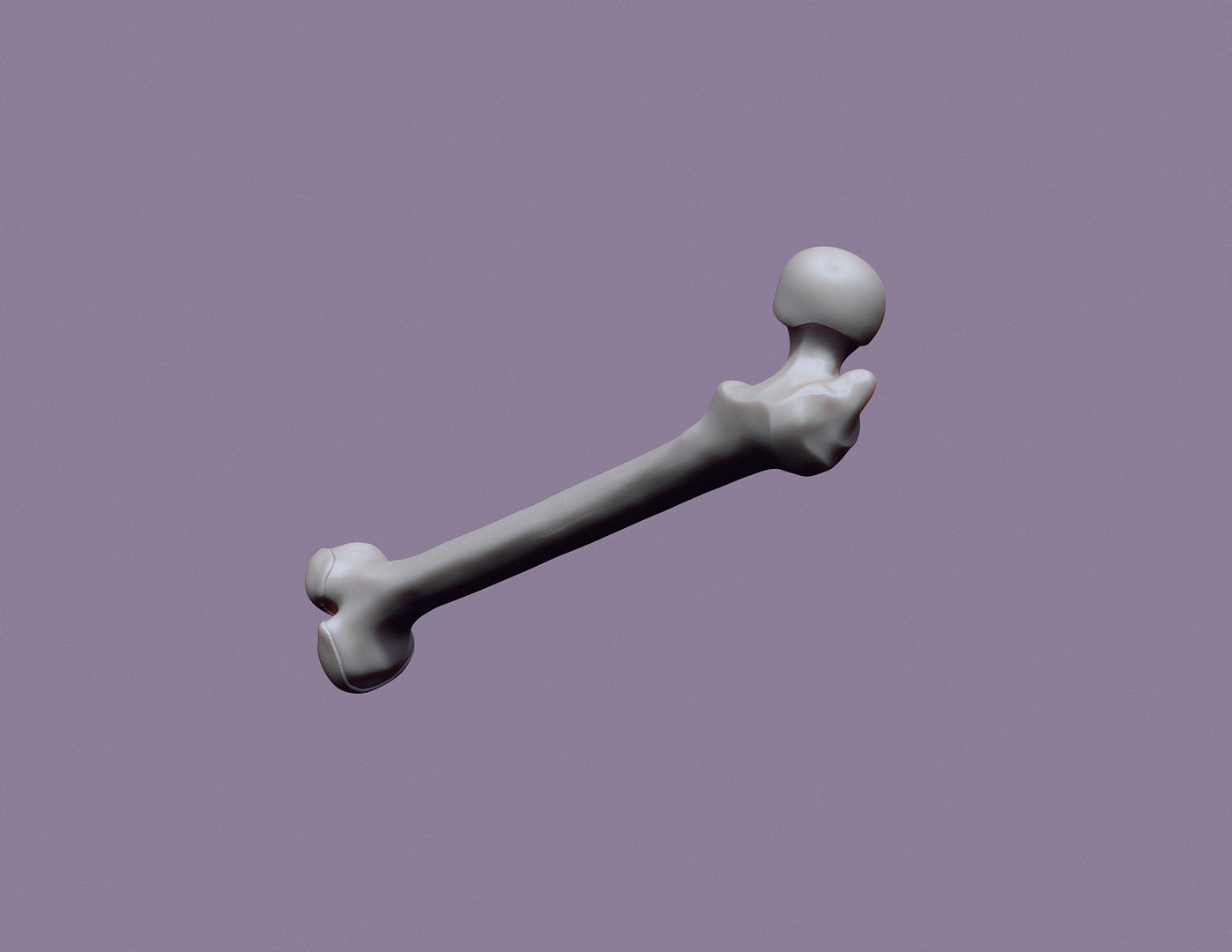 3D Human Femur For 3D Printing - TurboSquid 1947068