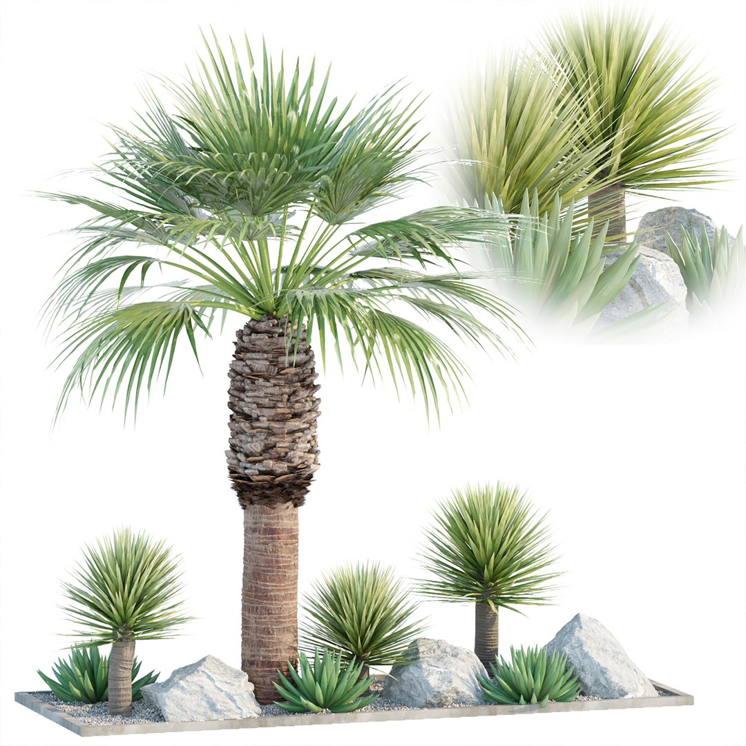 3D Outdoor Palm Garden Collection Vol 146 - TurboSquid 1985499