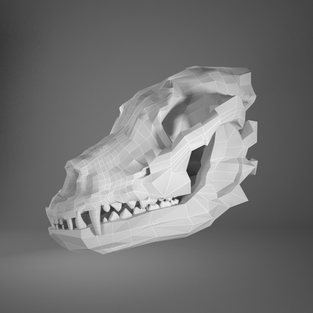 3d Model Of Dog Skull