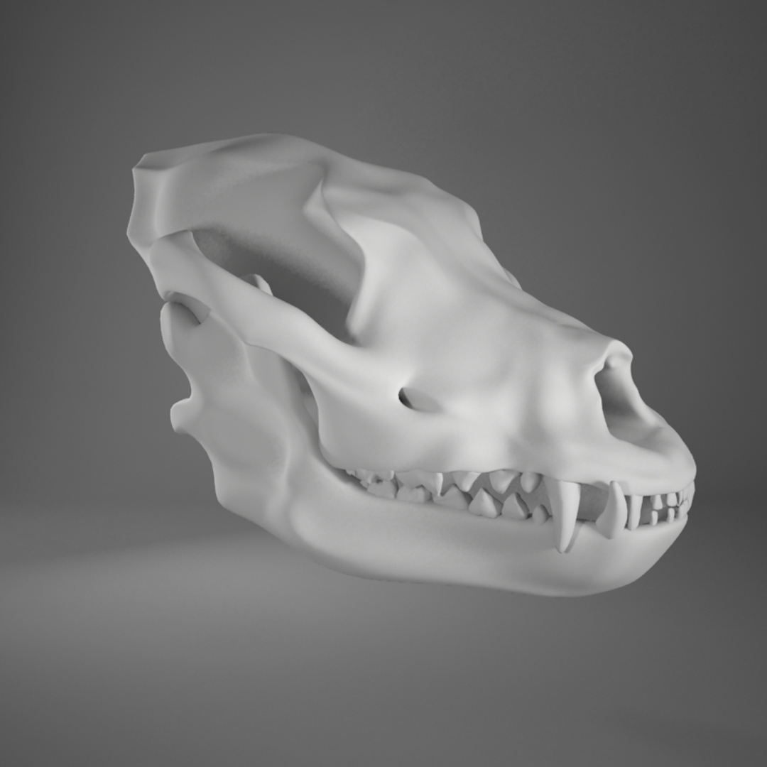 3d Model Of Dog Skull