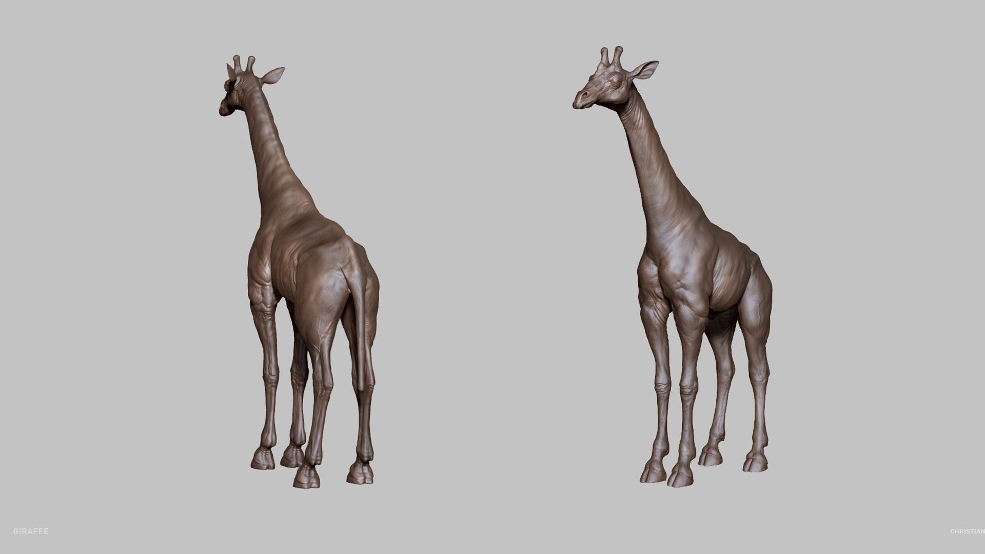Giraffe 3D model - TurboSquid 1721392