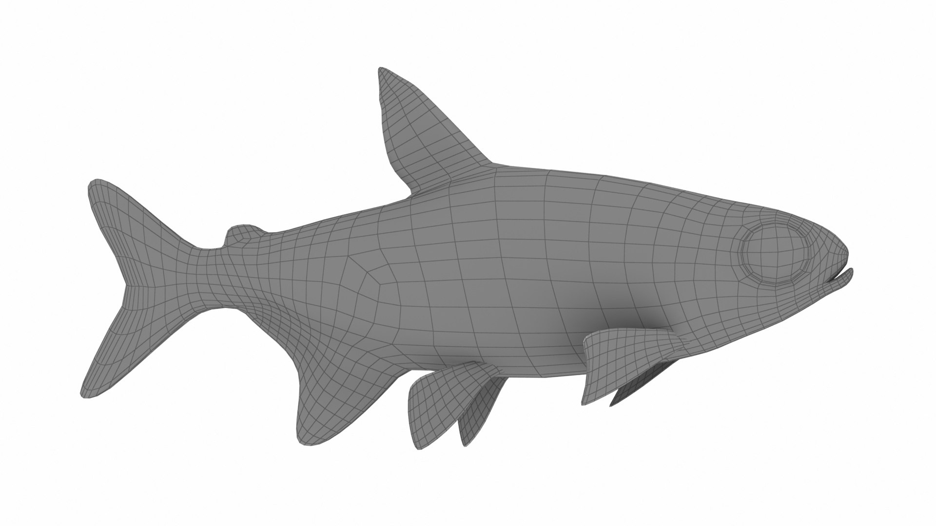 Neon Fish 3D Model - TurboSquid 1486609