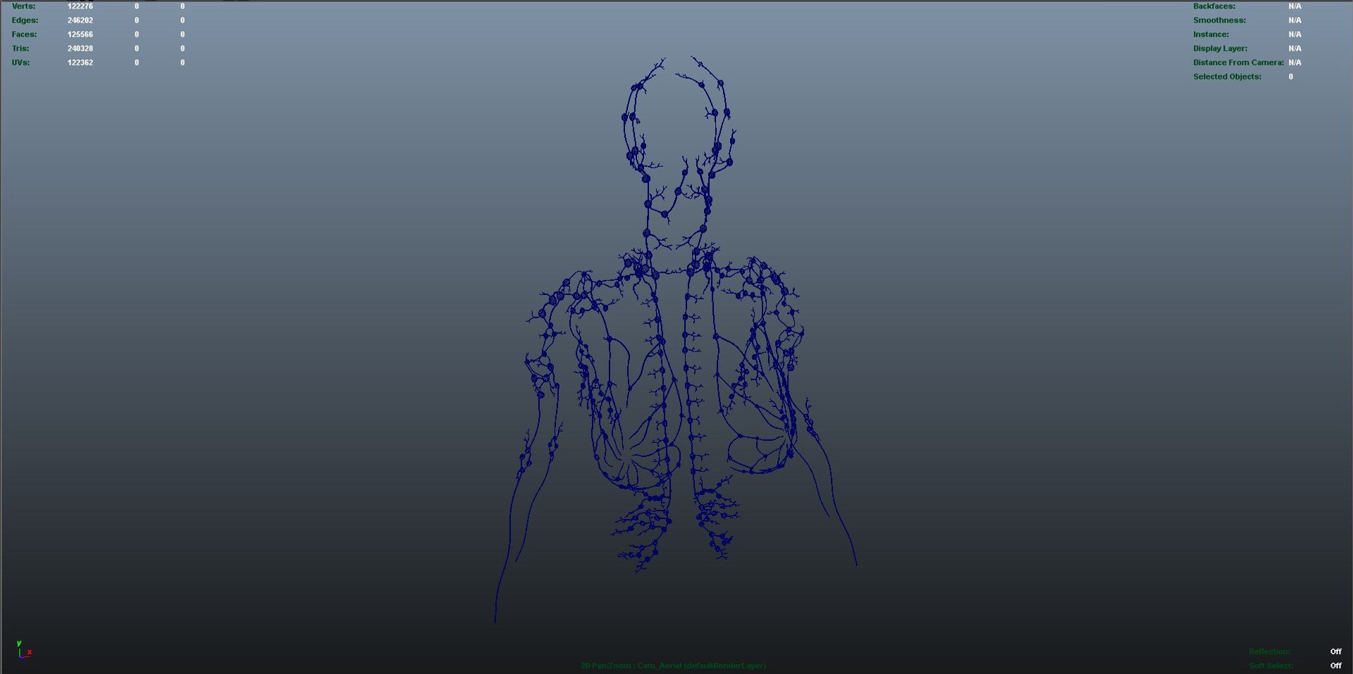 Lymph Nodes 3d Obj