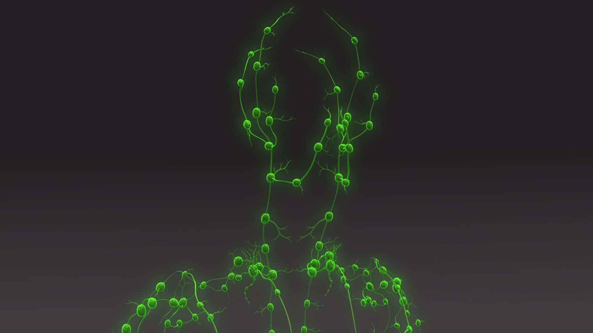 Lymph Nodes 3d Obj