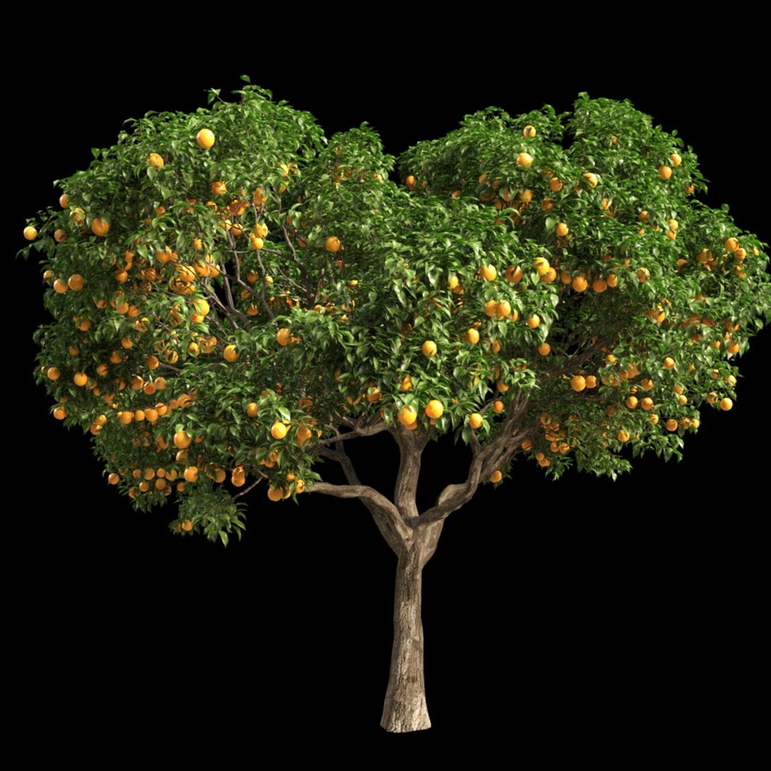 Tree orange 3D - TurboSquid 1336723
