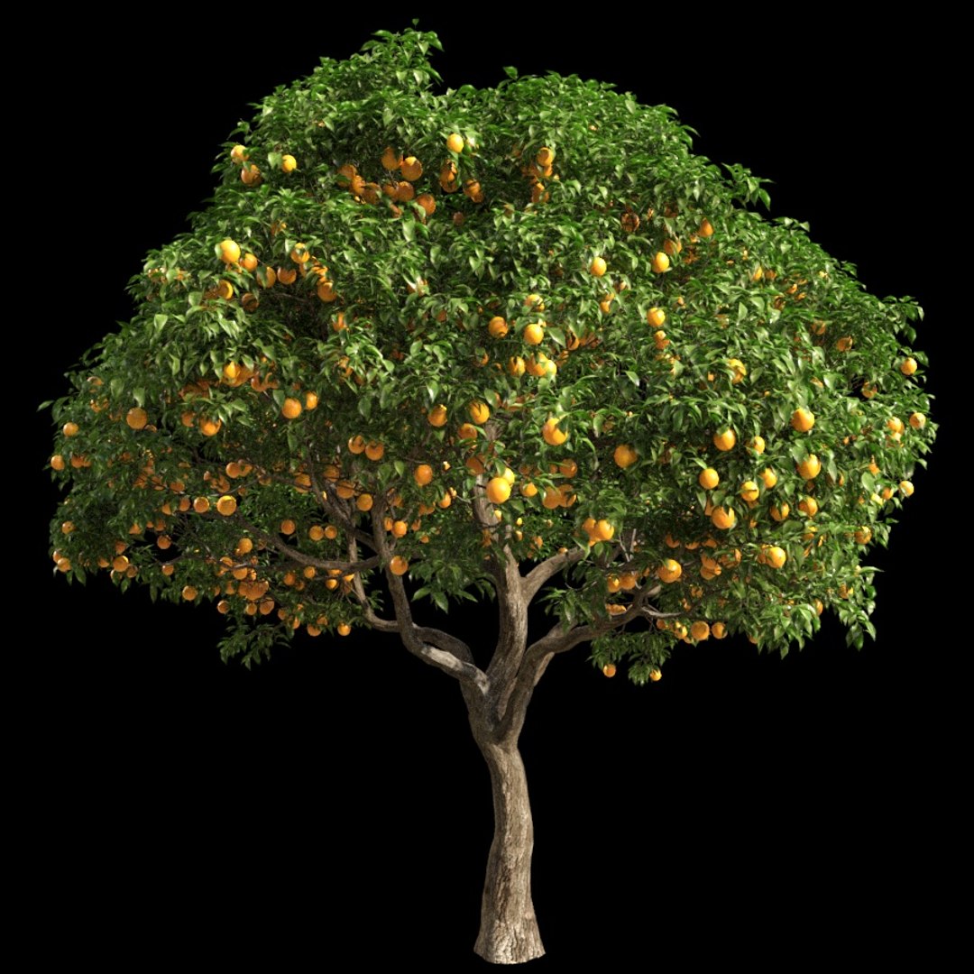 Tree orange 3D - TurboSquid 1336723