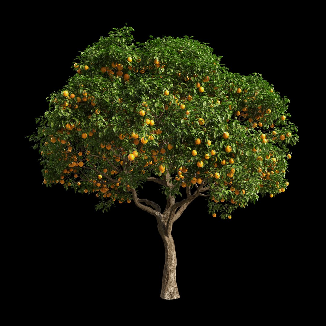 Tree orange 3D - TurboSquid 1336723