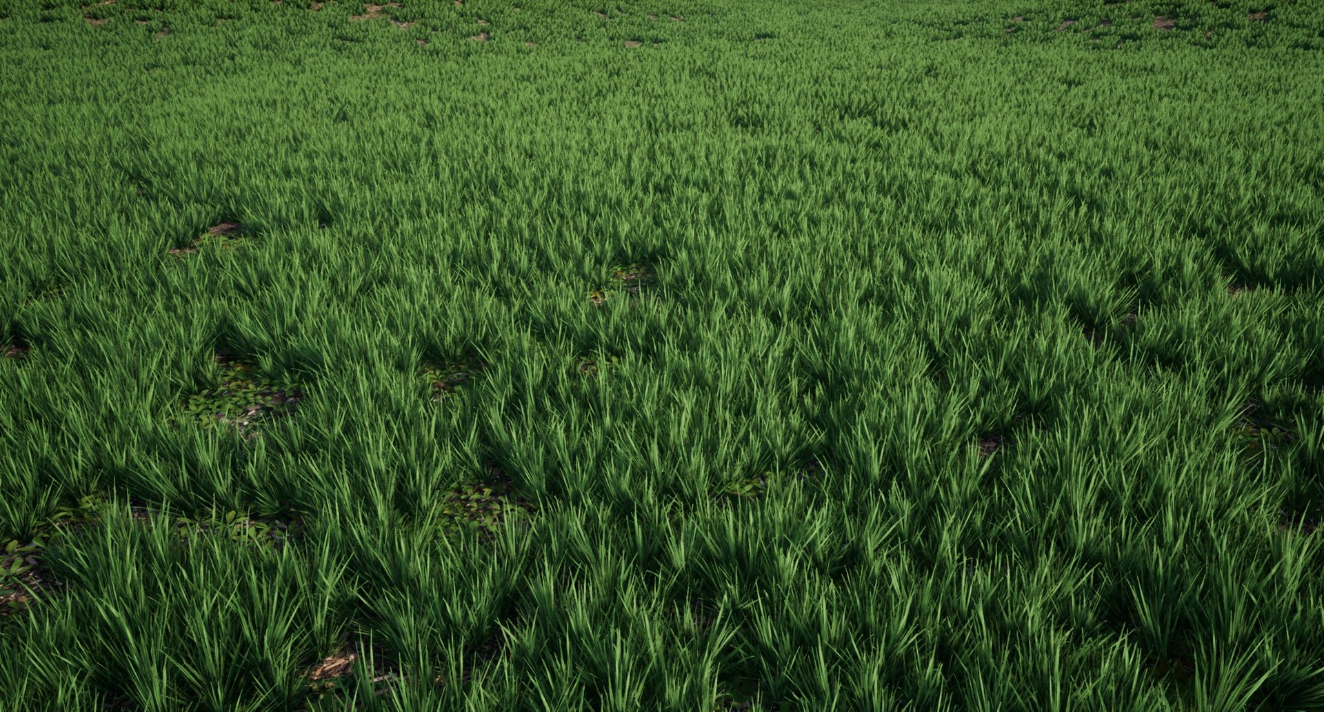 Grass Groundcover Pack 01 Model - TurboSquid 1357378