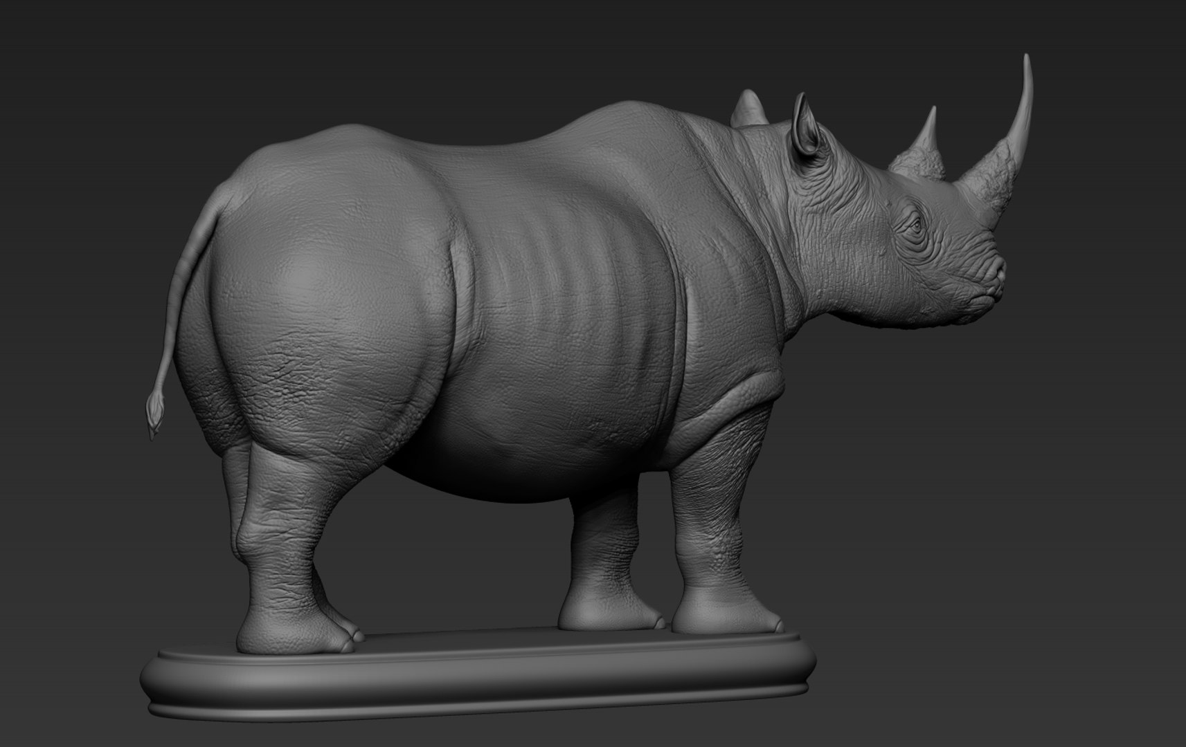 3d Rhino Turbosquid 2207297 