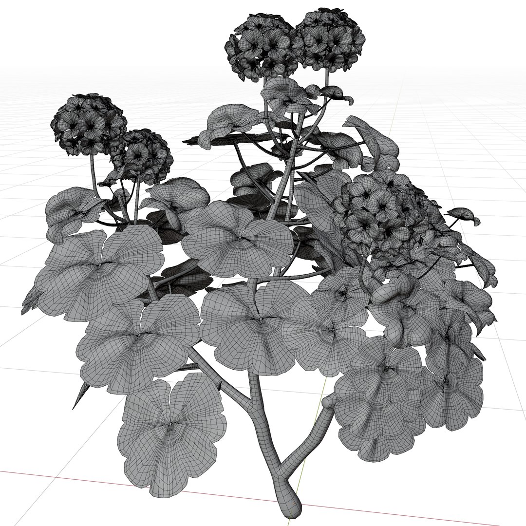 3D Geranium - TurboSquid 2378330