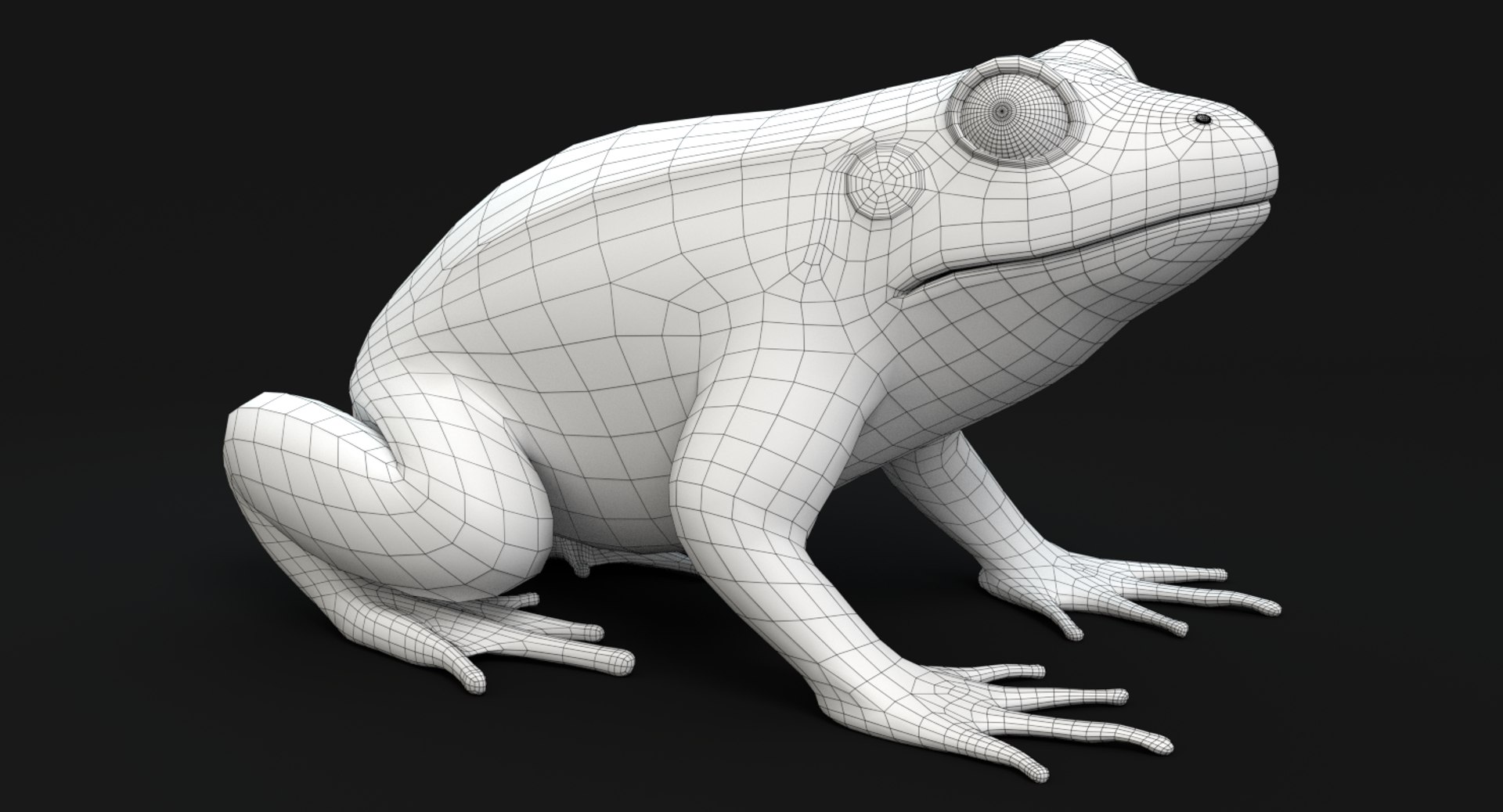 3D Frog Animations Model - TurboSquid 1263902