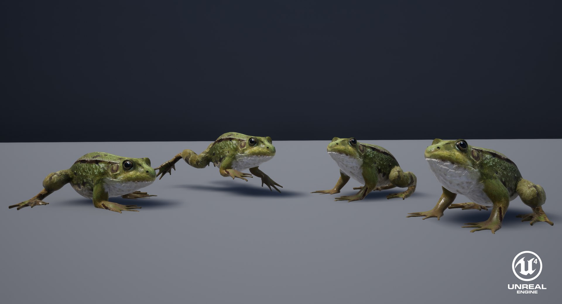3D Frog Animations Model - TurboSquid 1263902