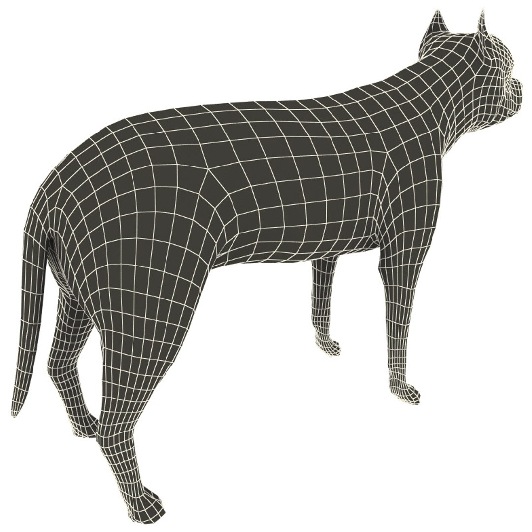 Dogs Set Shepherd Max