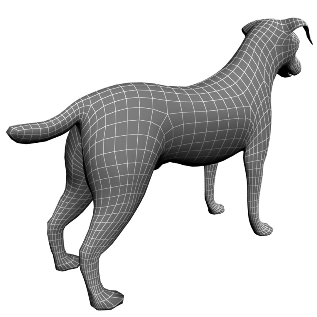 Dogs Set Shepherd Max