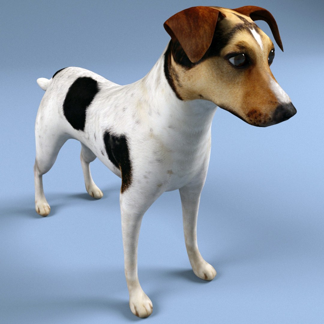 Dogs Set Shepherd Max