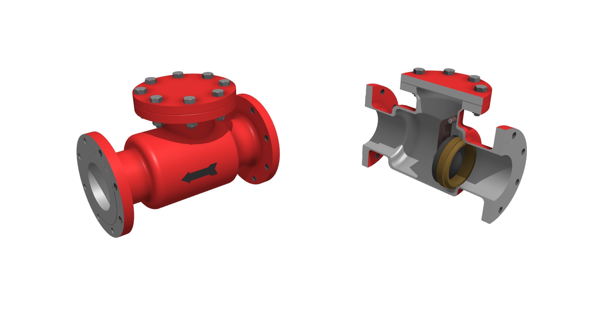 3d Non-return Valve 1
