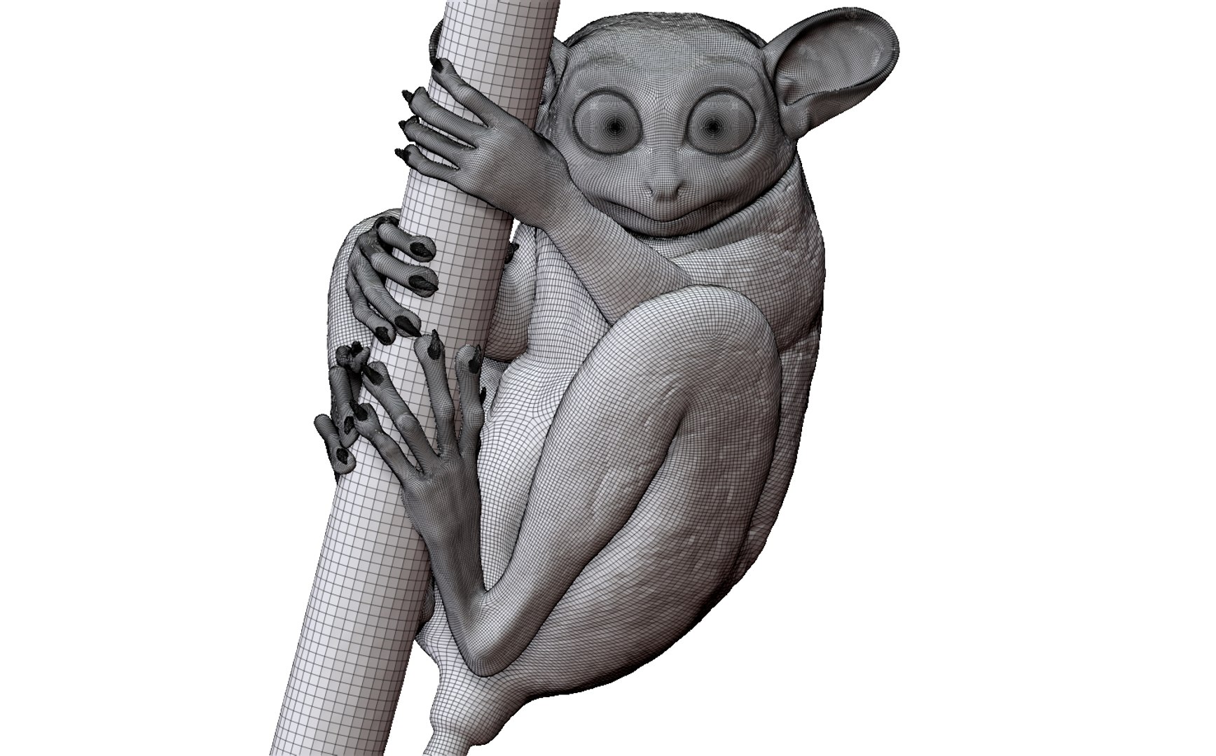 3D model tarsier branch eyes - TurboSquid 1539158