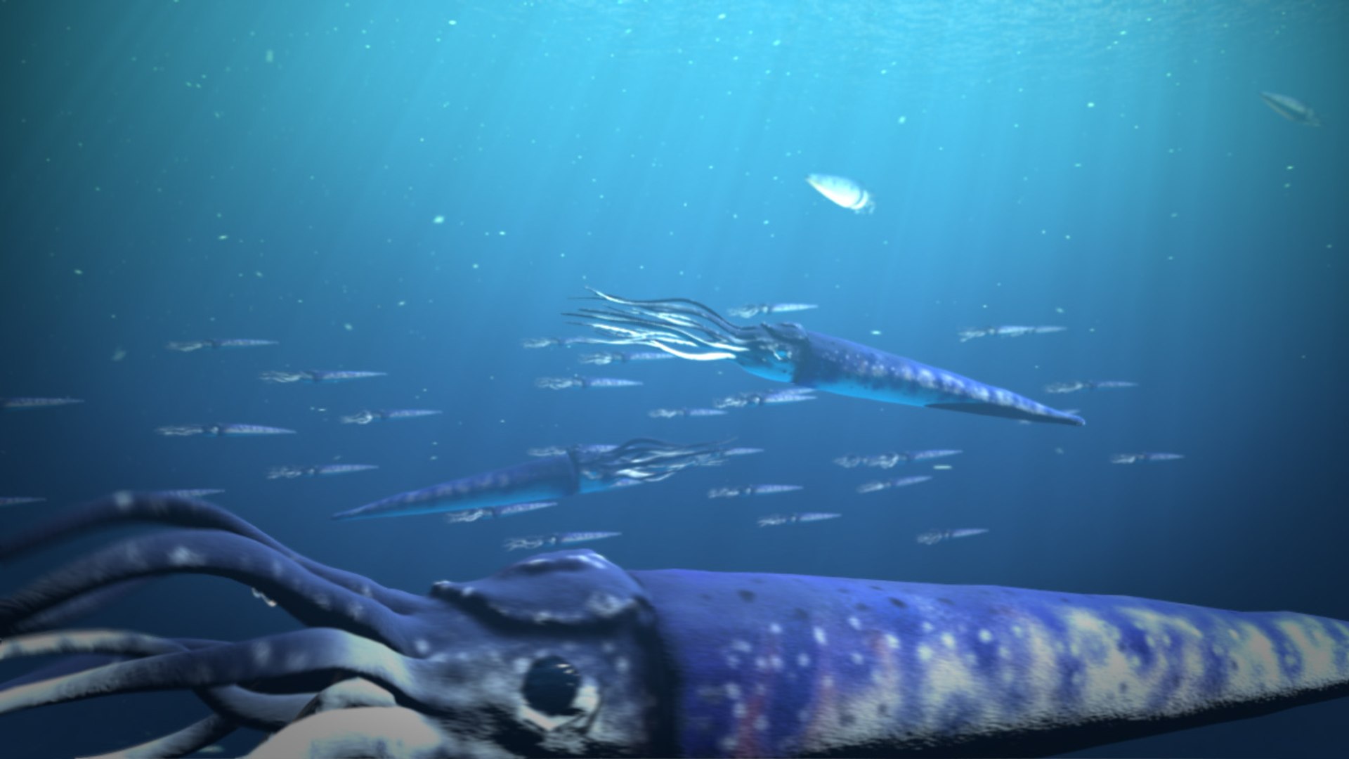 3d Squid Tentacles Model