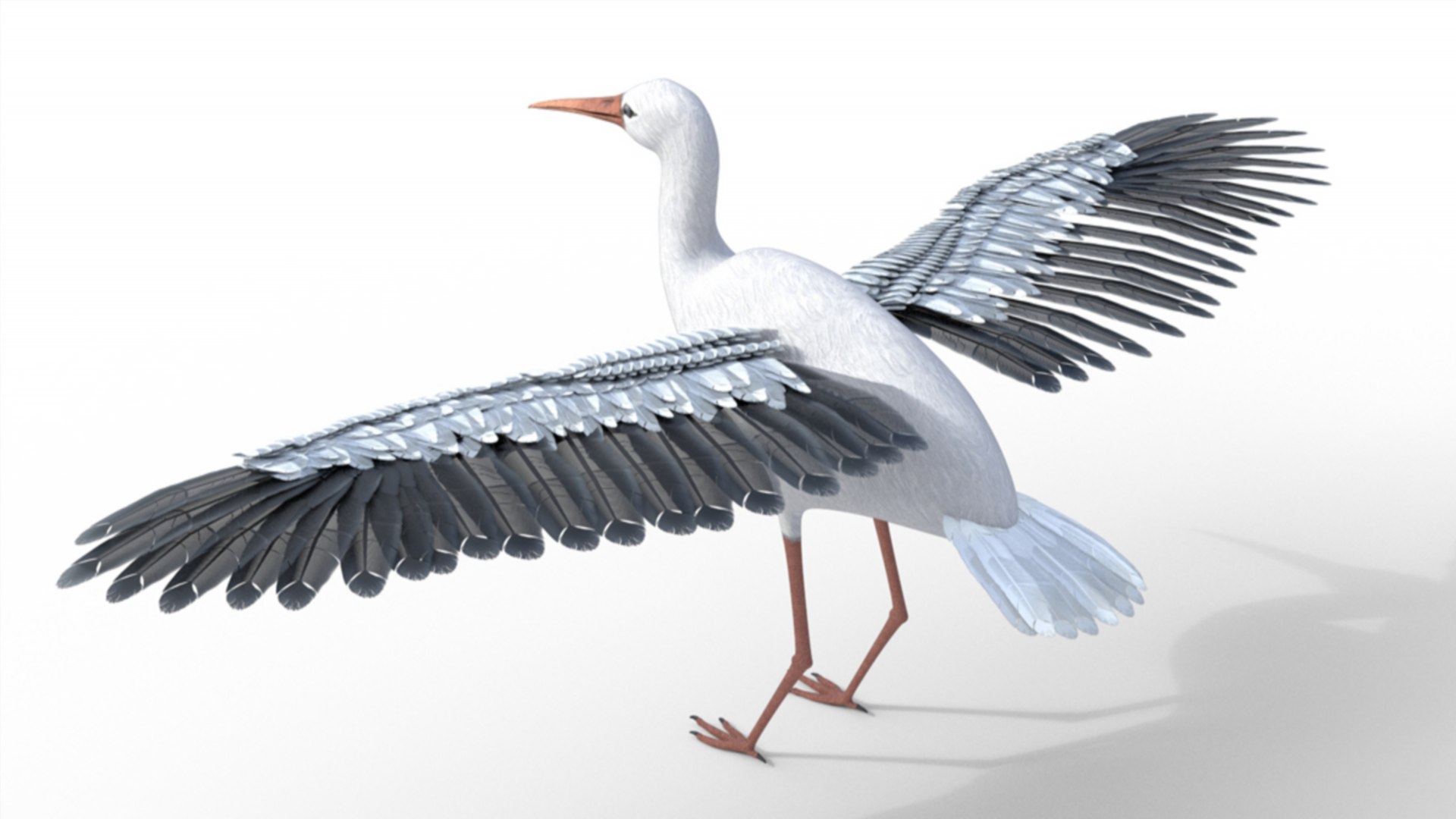 kostenlos Storch-Vogel-Modell (animiert) 3D-Modell - TurboSquid 2524777
