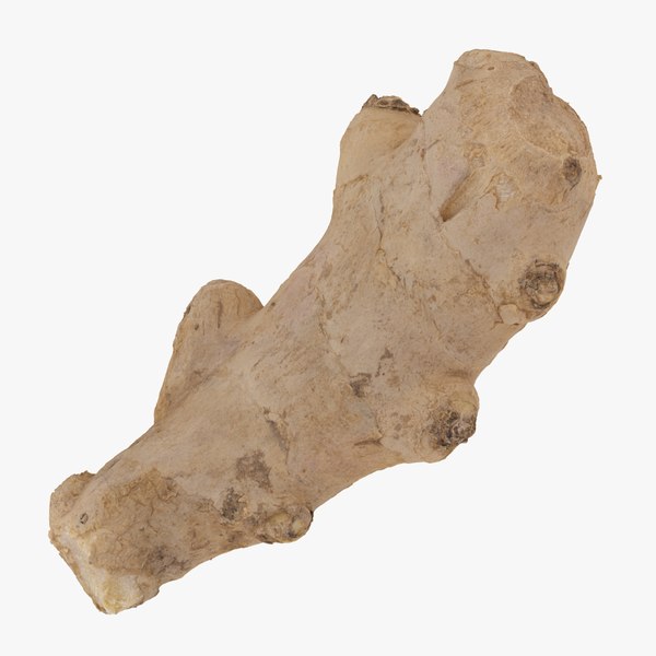 modelo 3d Raíz de jengibre 08 ESCANEADO SIN PROCESAR (1) - TurboSquid ...