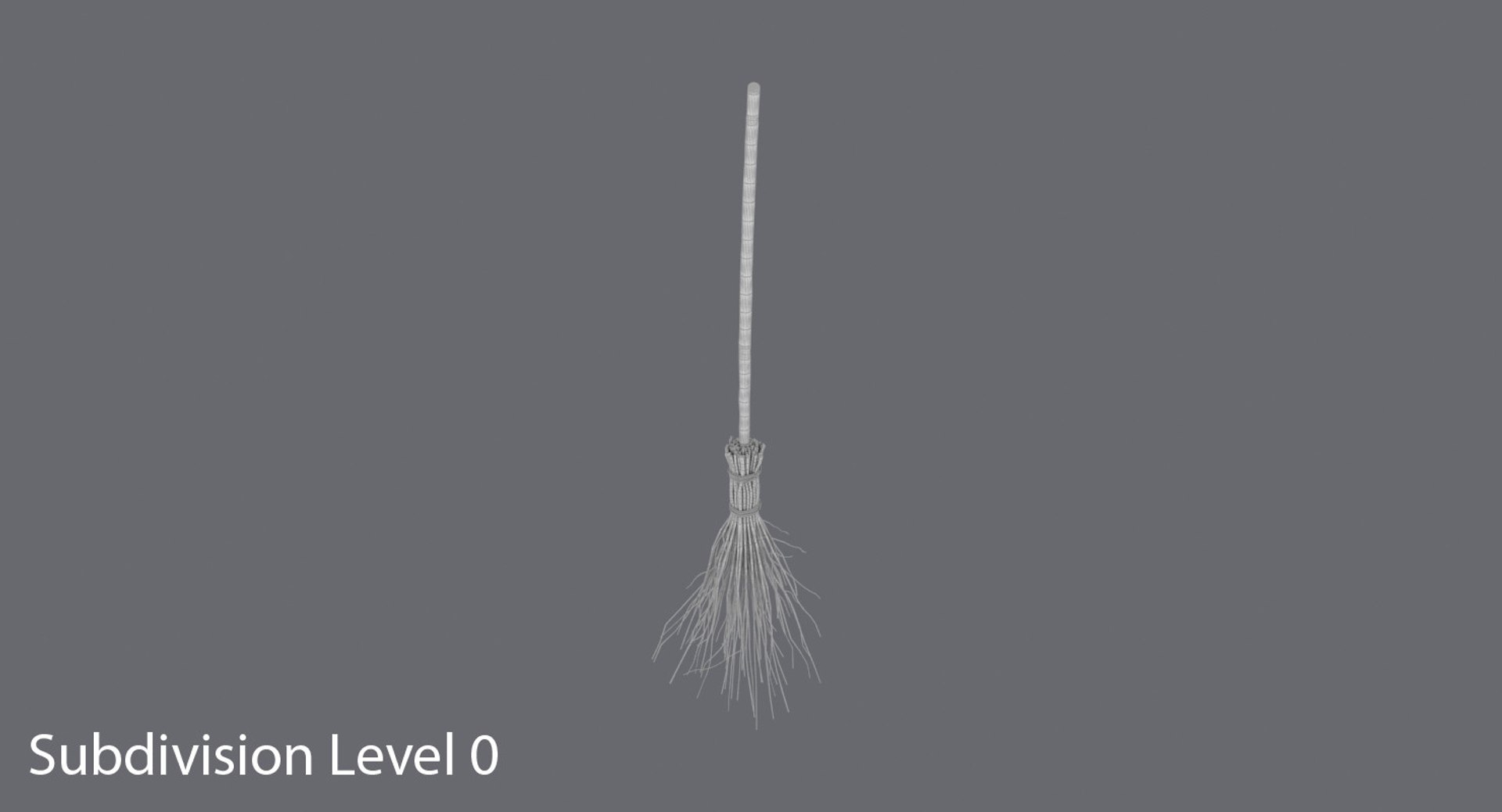3D Witch-broom Model - TurboSquid 1159982