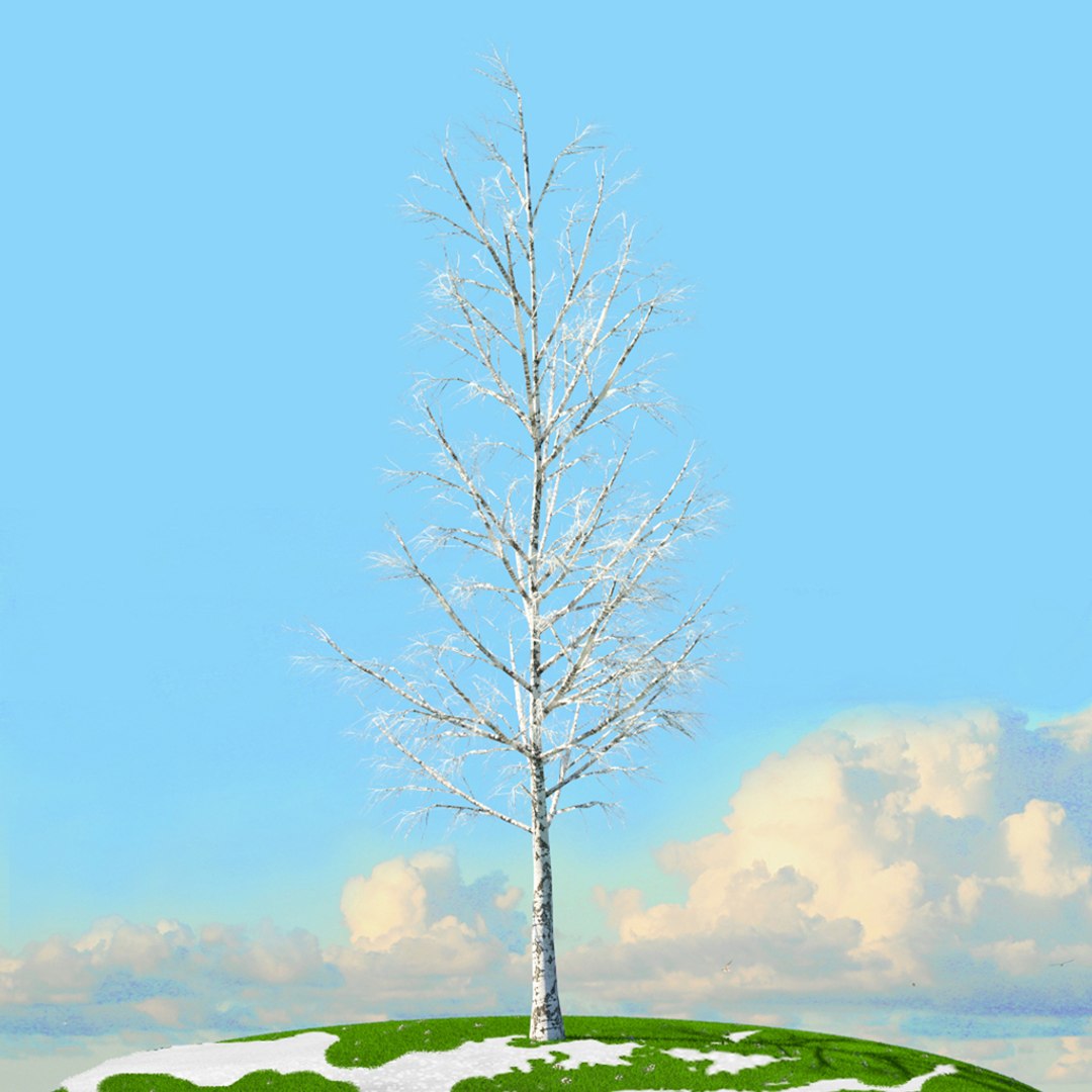 3D Trees Spring Environment - TurboSquid 1655056