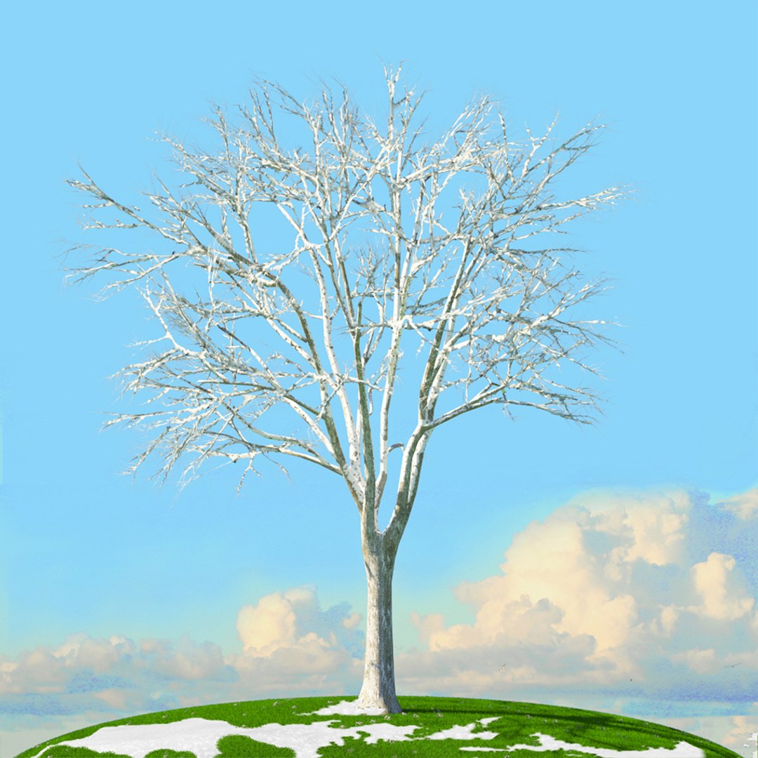 3D Trees Spring Environment - TurboSquid 1655056