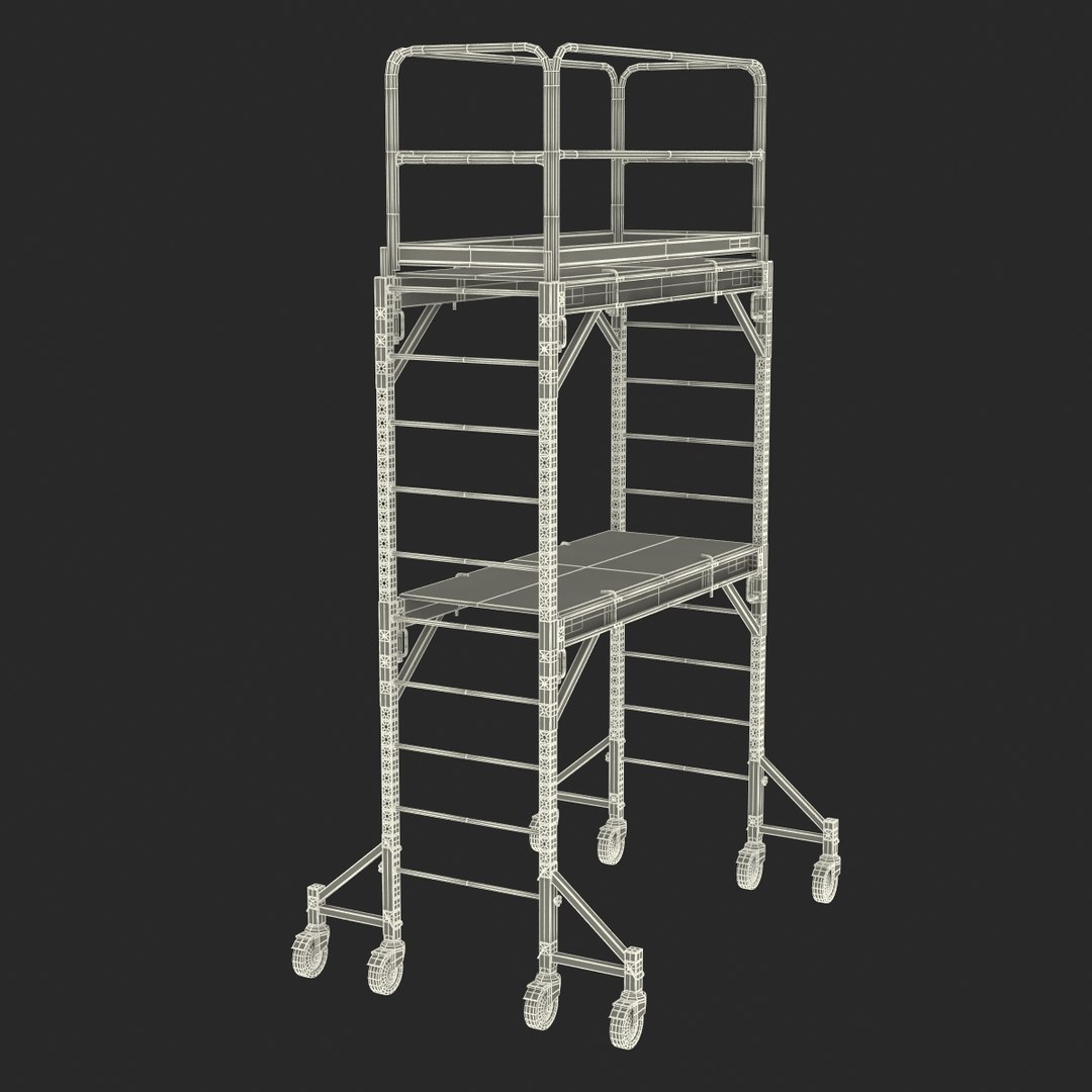 scaffold build realistic 3d model