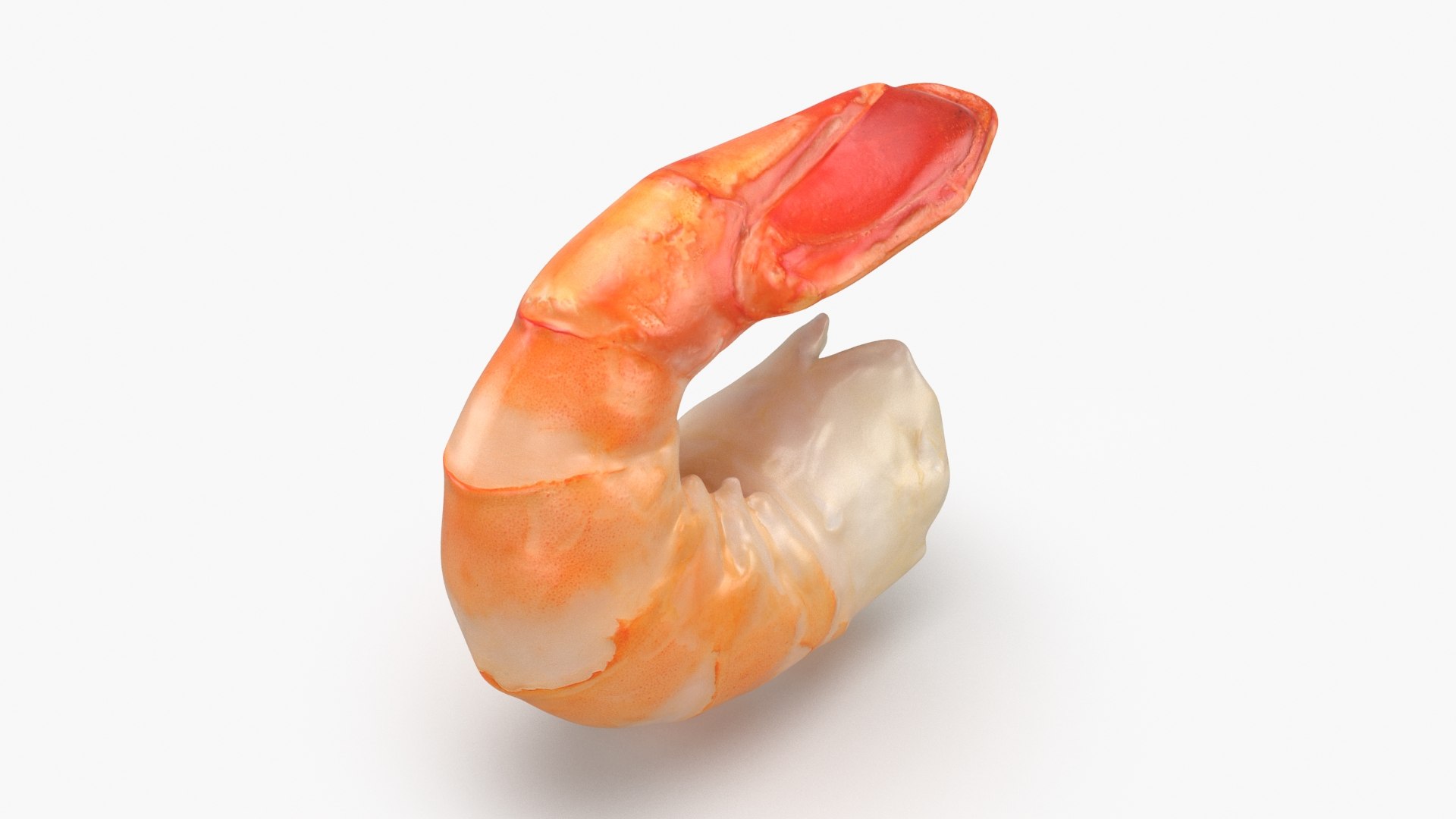 3D Shrimp Collection model - TurboSquid 2108670