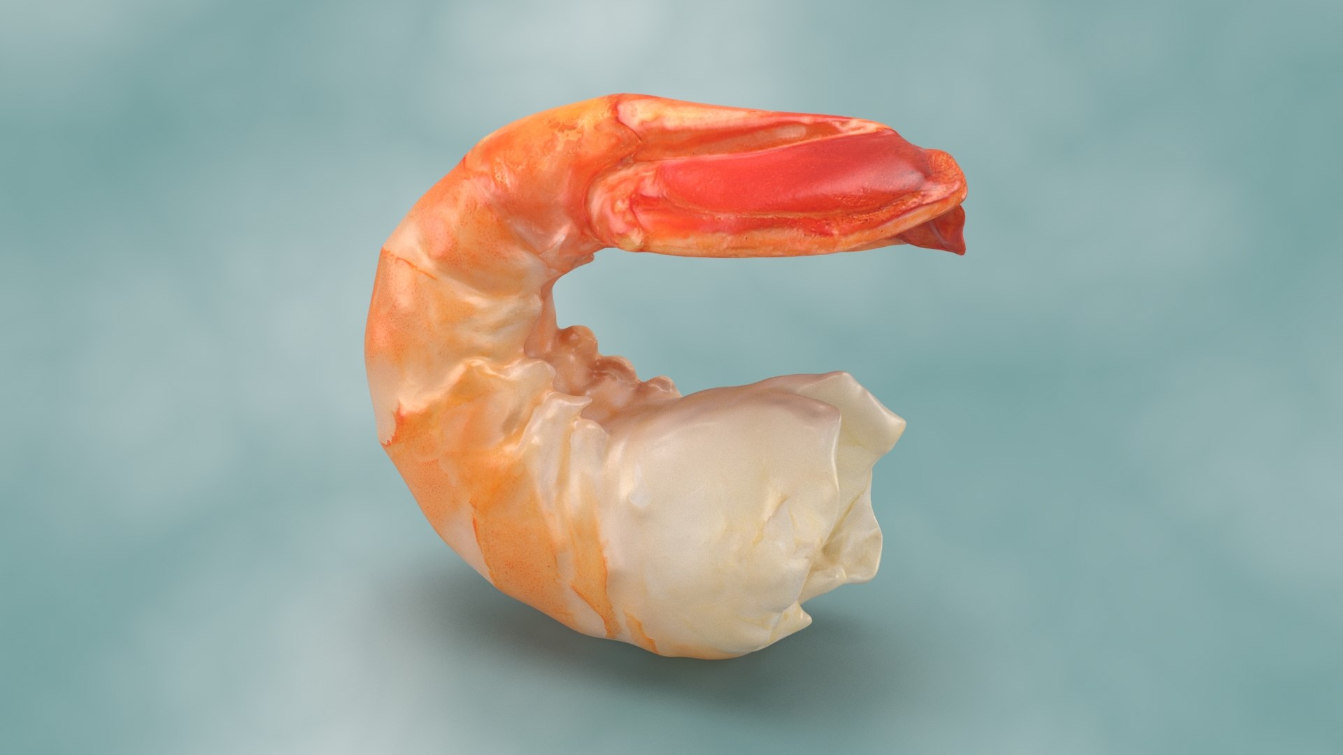 3D Shrimp Collection Model - TurboSquid 2108670