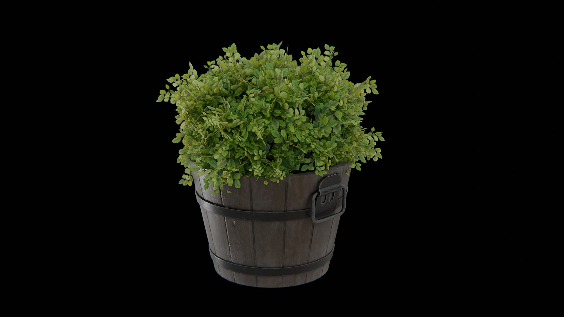 Bucket Plants Model - TurboSquid 1656485