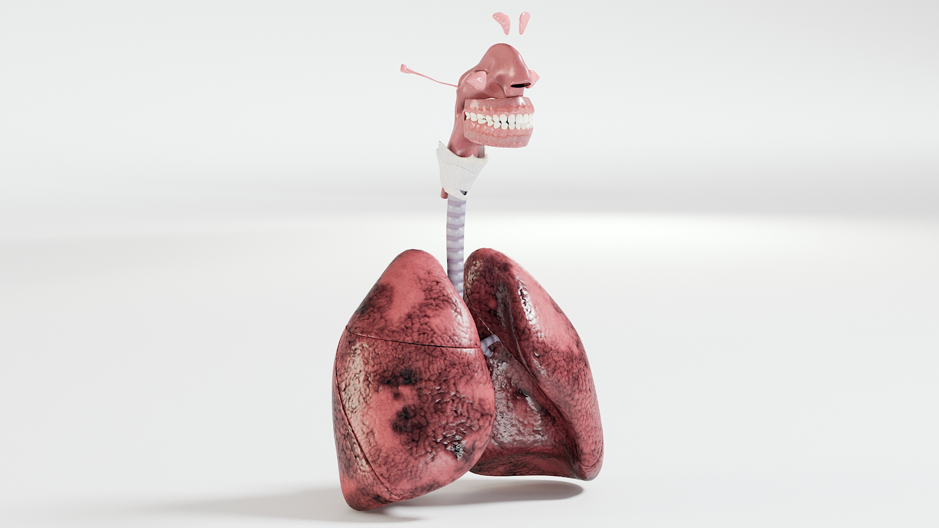 Respiratory Smoker S Lungs 3D Model - TurboSquid 1531510