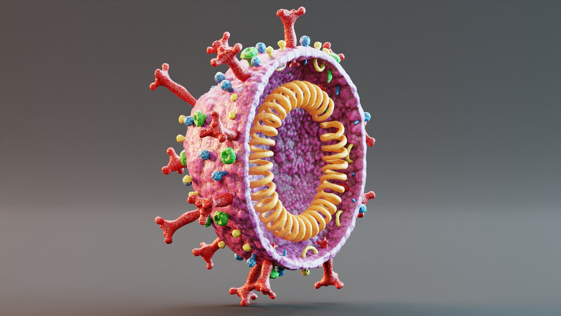 Covid-19 Coronavirus Model - TurboSquid 1636764