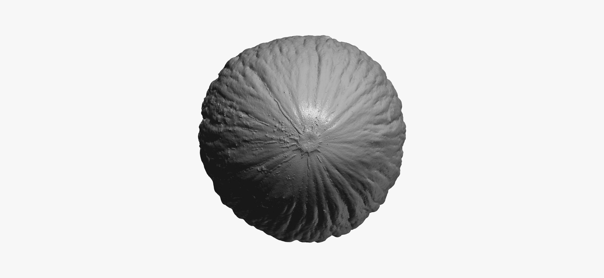 Melons Collection 03 - 2 Models RAW Scans Model - TurboSquid 1830441