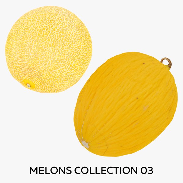 Honeydew Melon 3D Models for Download | TurboSquid