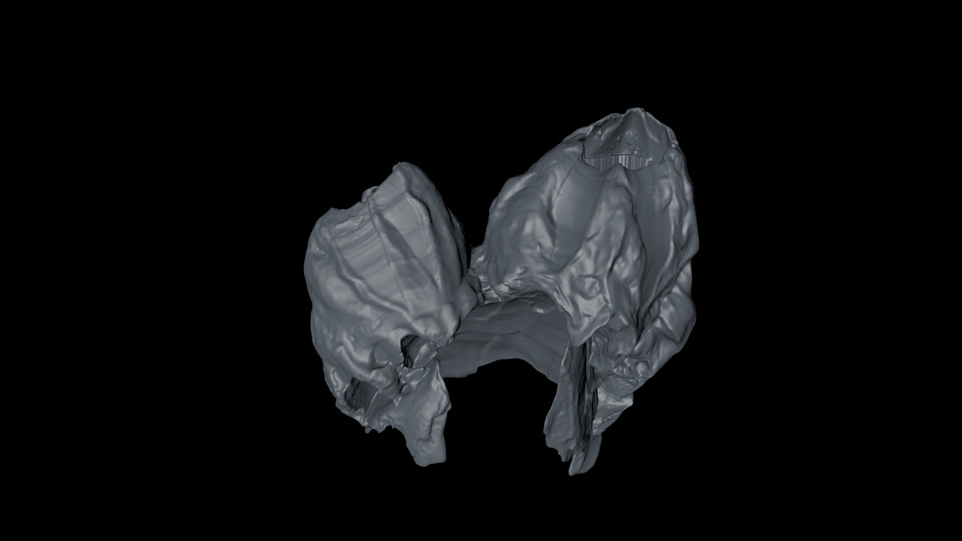 3D model scan sea shells - TurboSquid 1201862