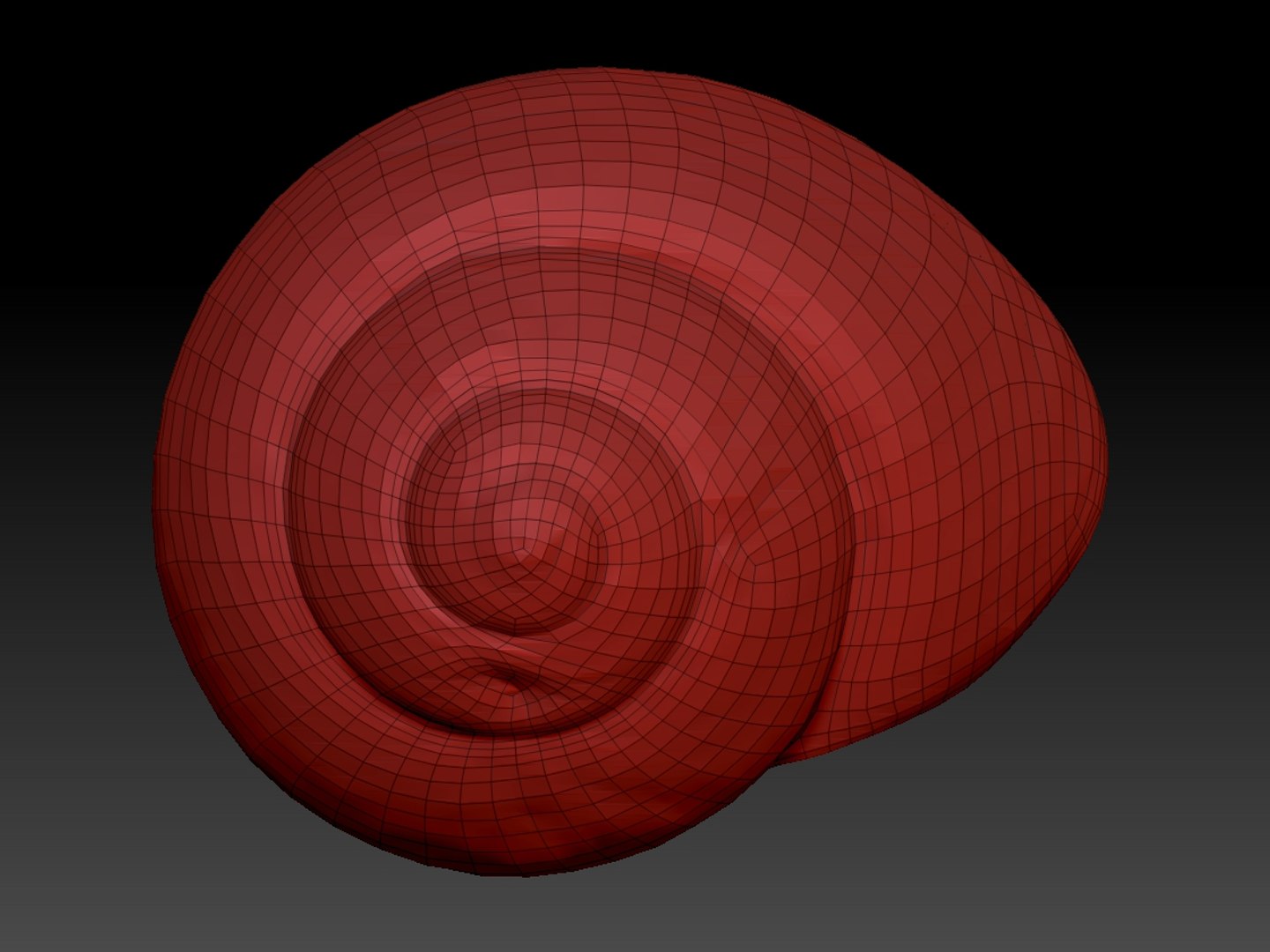 3D model scan sea shells - TurboSquid 1201862