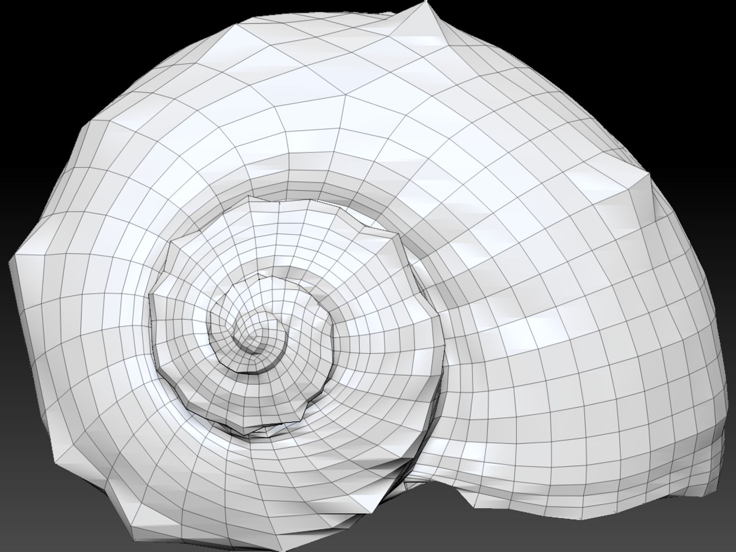 3D Model Scan Sea Shells - TurboSquid 1201862