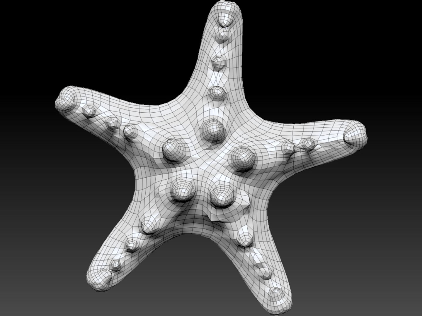 3D model scan sea shells - TurboSquid 1201862