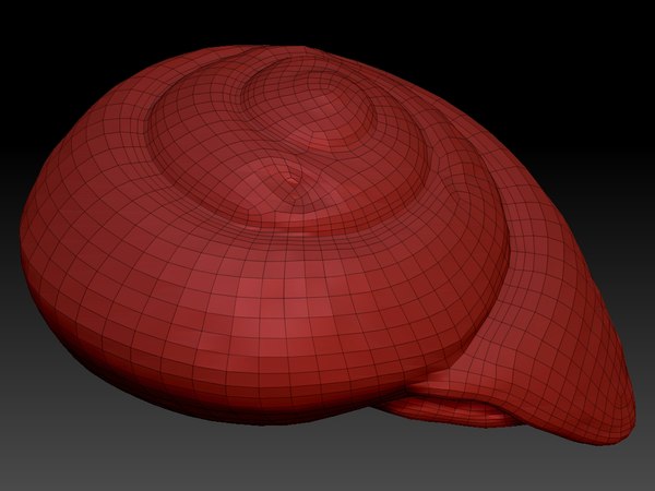 시 팩 3D 모델 - TurboSquid 1201862