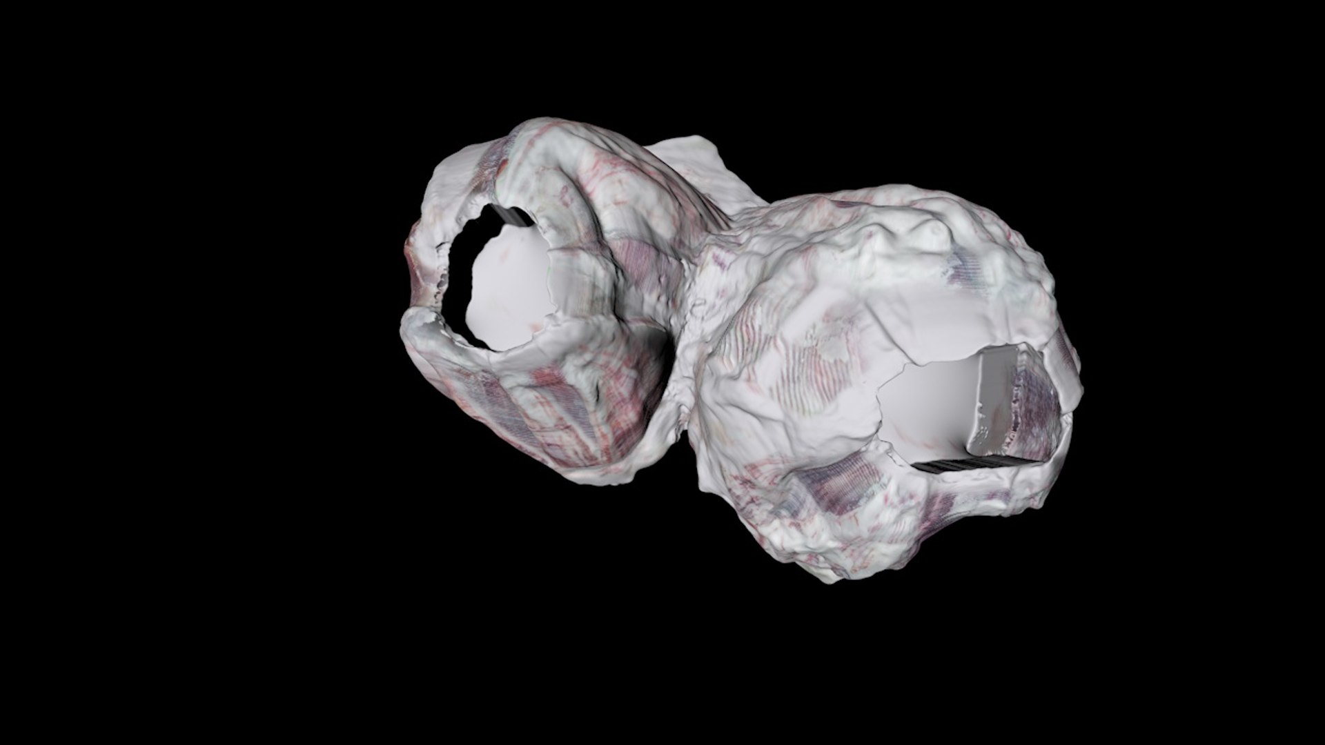 3D model scan sea shells - TurboSquid 1201862