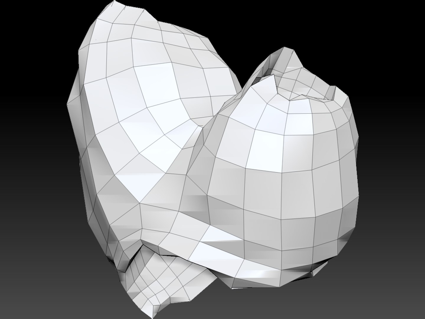 3D model scan sea shells - TurboSquid 1201862