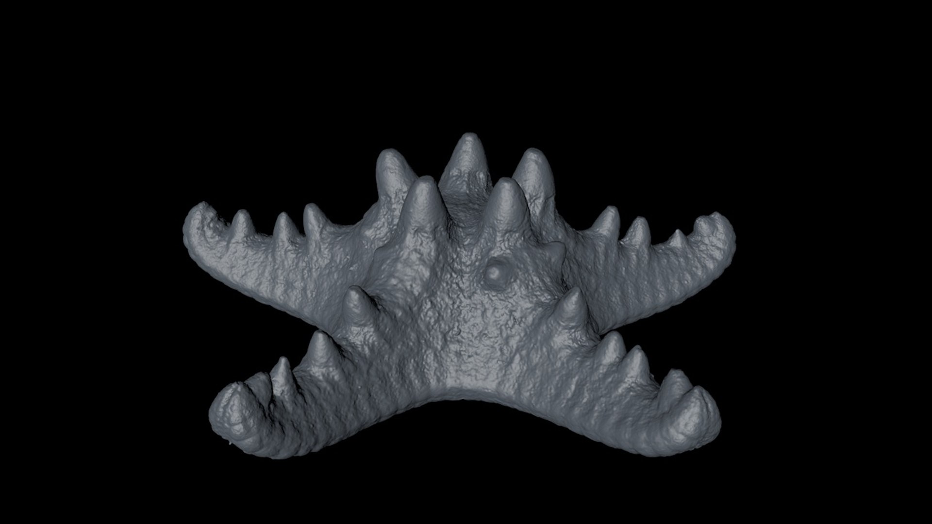 3D model scan sea shells - TurboSquid 1201862
