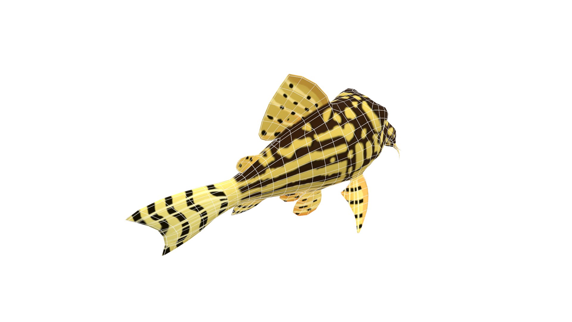 Sterba S Corydoras Fish Toon 3D Model - TurboSquid 1586162