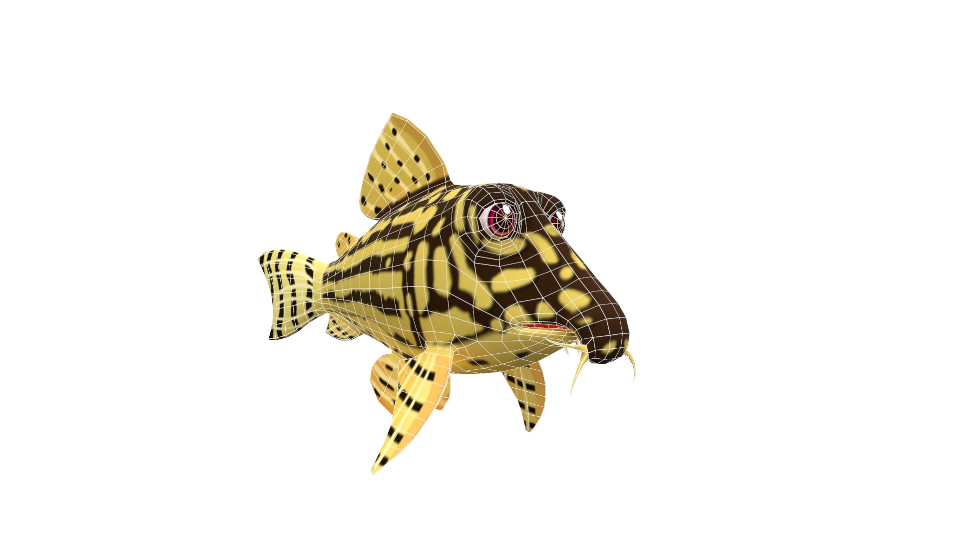 Sterba S Corydoras Fish Toon 3D Model - TurboSquid 1586162